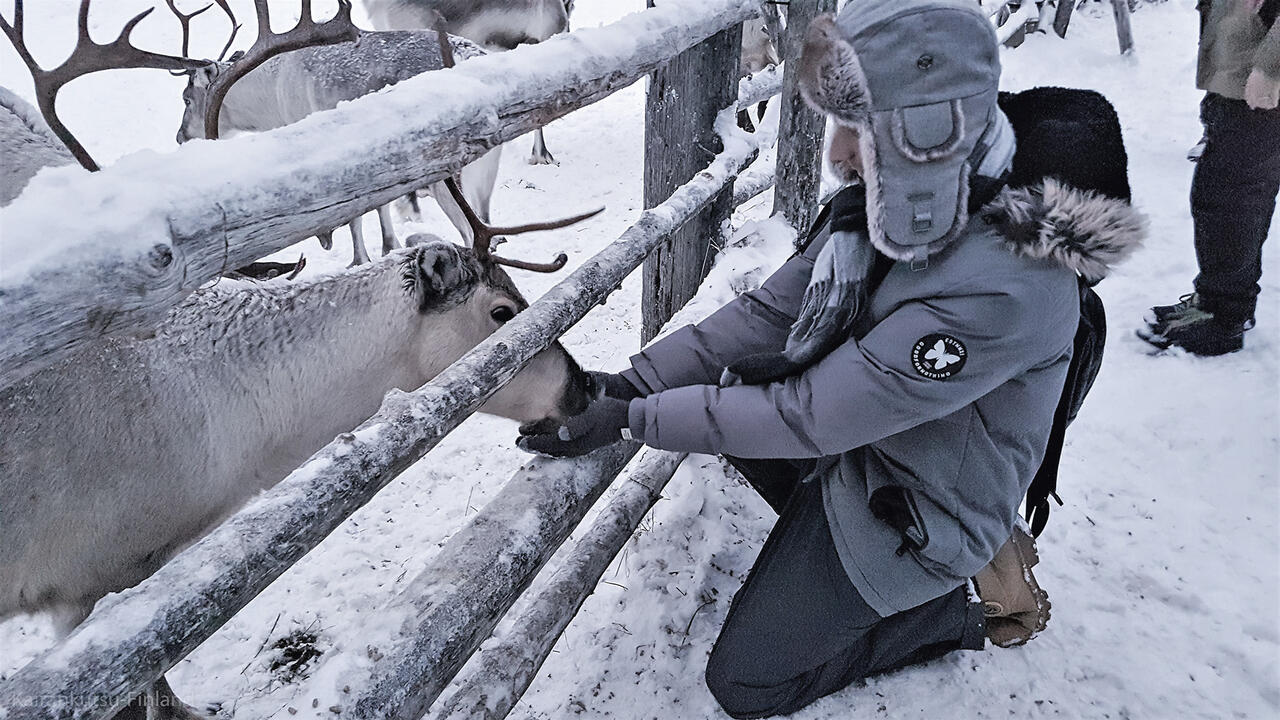 Year of the Reindeer – Call of the Wilderness